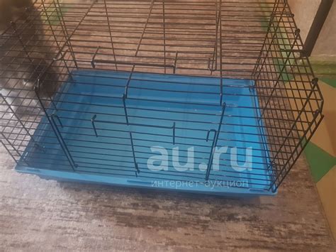 Клетка для грызунов, колесо и поилка в подарок — купить в Красноярске ...