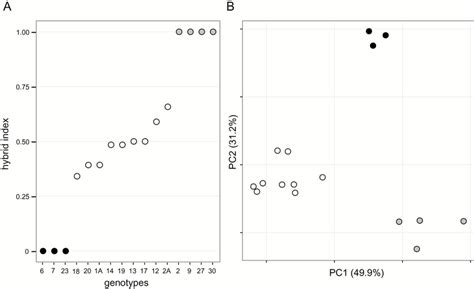Microsatellite Variation Among Genotypes Represented By Hybrid Index