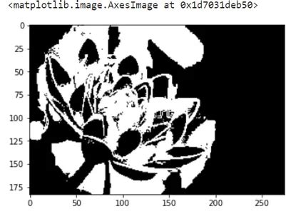 Getting Started With Image Processing Using Opencv Plato Data