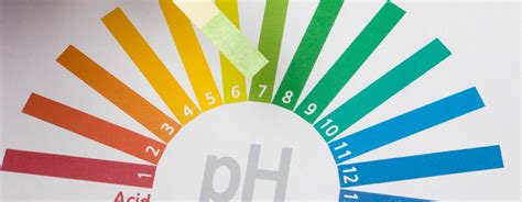 Ph Testing Healthworks Nutrition Centre