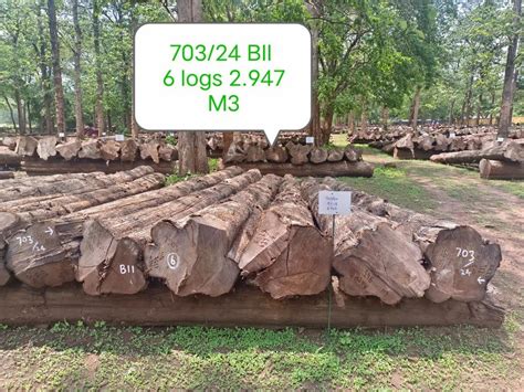 Nilambur Forest Teak Timber At ₹ 12000 Cubic Feet Malappuram Id