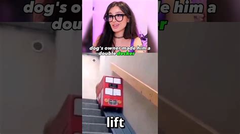 SSSniperWolf Clip 146 Wholesome Tiktoks That Will Make Your Day