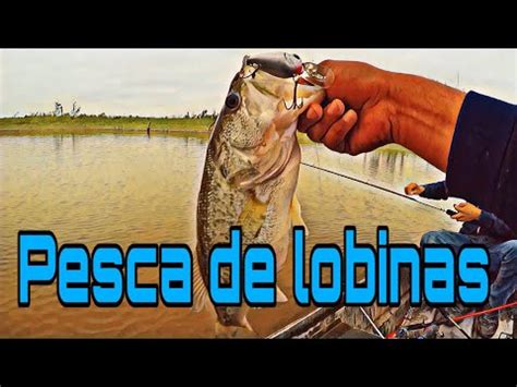 Pesca De Lobinas Seguimos Pescando YouTube