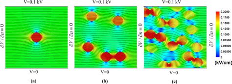 Tailoring Non Linear Dielectric Properties By Local Field Engineering