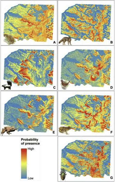 Maxent Species Distribution Maps For A Leopardus Guigna Threatened