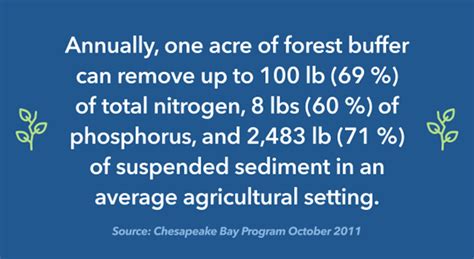 Protect Your Land With A Streamside Buffer Agweb
