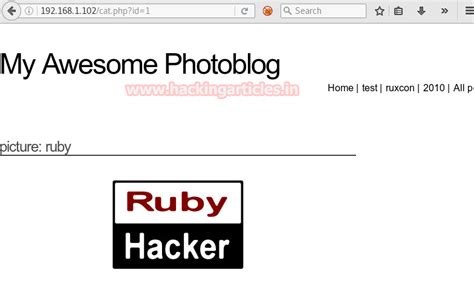 hack the pentester lab from sql injection to shell ii blind sql