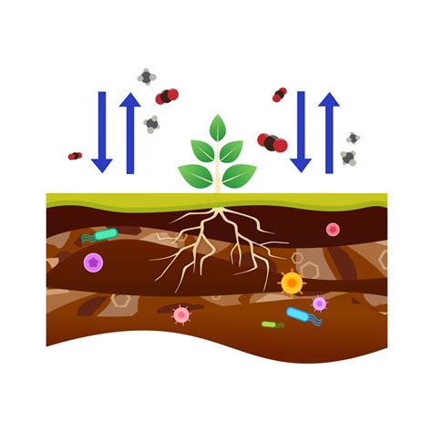 Microbes Matter A New Framework To Represent Microbial Function In