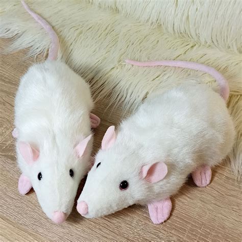 Cute Rats For Sale Lupon Gov Ph