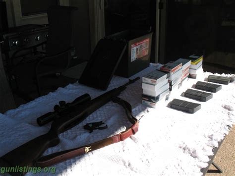 Rifles Custom M14