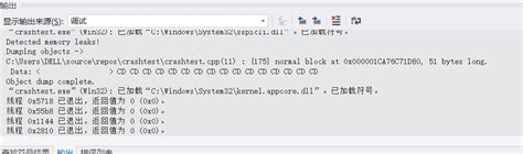windows c 内存泄漏调试技术 read dev docs 博客