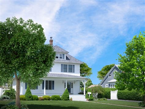 Services AllTree Care