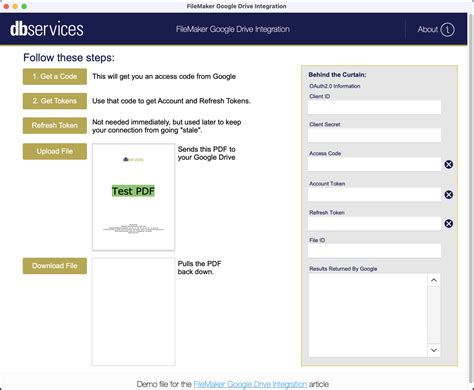 FileMaker Google Drive Integration DB Services
