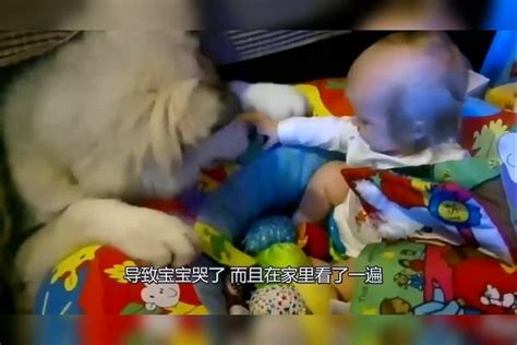 妈妈有事外出，狗狗和宝宝在家，妈妈回家后捂住了嘴巴
