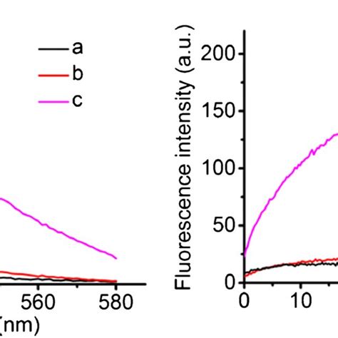 A Schematic Illustration Of Single Entropy Driven 3 D Dna Walking