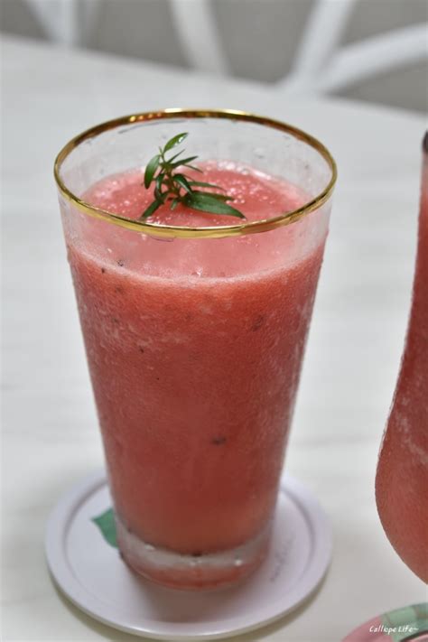 색도 고운 수박 스무디 간단하게 만들기~