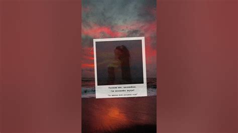 Книга «На минном поле расцвели сады • Шахназ Сайн Youtube