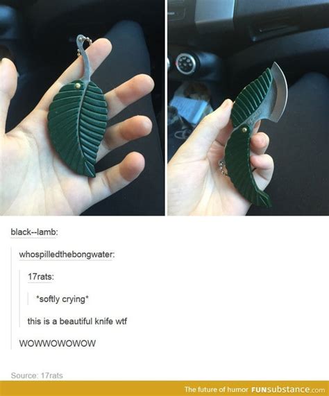 Bulbasaur Used Razorleaf Funsubstance