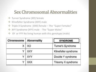 Sex Chromosomal Abnormalities And Their Relationship To Behavior PPT