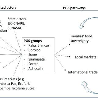 Conceptual Framework Bringing Together Actors Potential Pathways And