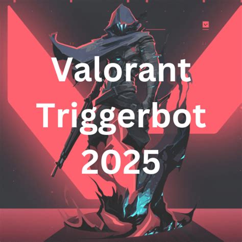 Valorant Ahk Triggerbot 2025 Undetected Lifetime Legit Shopee