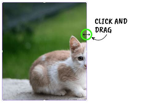 How To Resize And Stretch Image In Canva Without Cropping