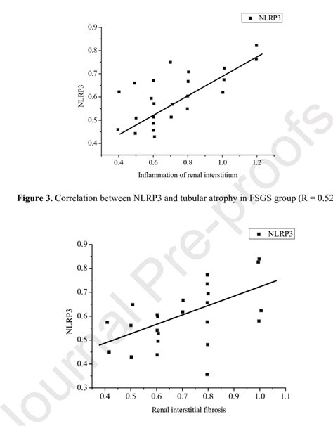 Correlation Between Nlrp3 And Renal Interstitial Fibrosis In Fsgs Group