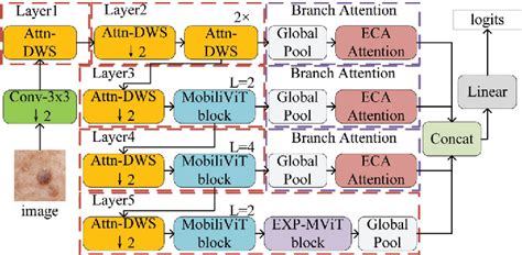 Figure 1 From Skin Disease Classification Based On Multi Level Feature Fusion And Attention