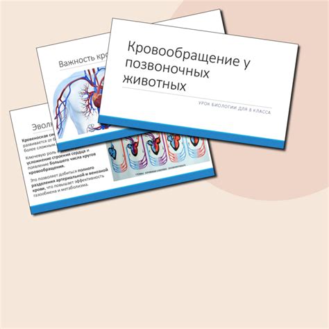 Презентация «Животная клетка 8 класс