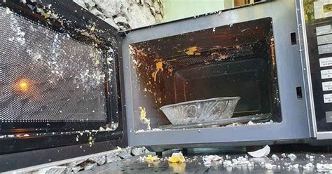 어쩐지 맛이 없더라” 전자레인지에 절대 데워먹으면 안되는 음식 13가지