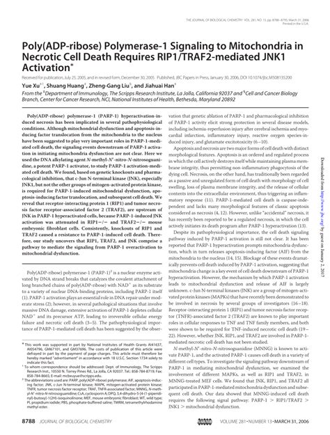Pdf Polyadp Ribose Polymerase 1 Signaling To Mitochondria In