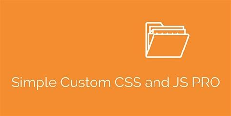 simple custom css and js pro wordpress plugin bliter gpl