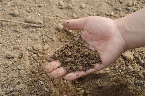 Find Out The Different Types Of Soil In Australia Kelly Tillage AUS