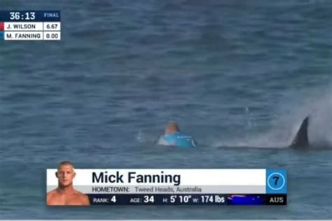 Shark Attacks Surfer On Live Tv Video