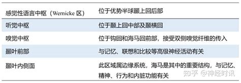 大脑半球的解剖生理及病损的定位诊断 — 临床必备 知乎