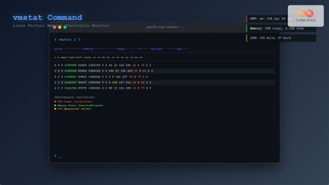 Top Command Linux Complete Guide To Real Time Process Monitoring