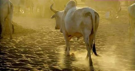 माझ्या बाबांची पुण्याई डॉ बाबासाहेब आंबेडकर 26 जनवरी को देश 71वां