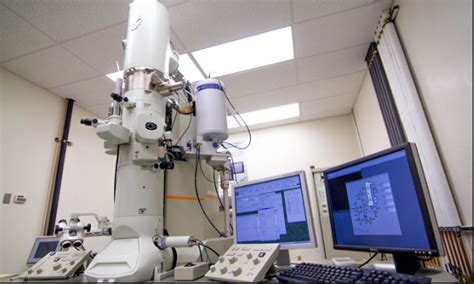 Differences Between Light Microscope And Electron Microscope VIVA