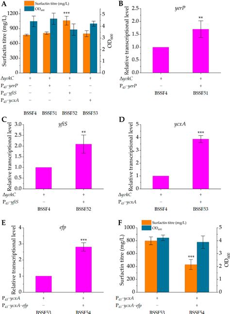Figure 1 From Improving Surfactin Production In Bacillus Subtilis 168 By Metabolic Engineering