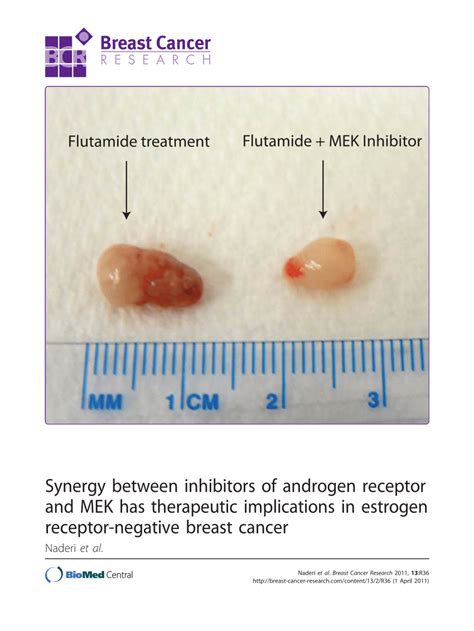Pdf Synergy Between Inhibitors Of Androgen Receptor And Mek Has