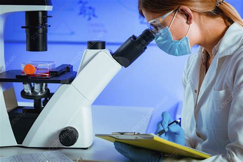 Scientist Using Microscope Stock Image F024 7468 Science Photo Library