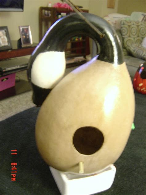Bird House Gourd Gourds Birdhouse Painted Gourds Gourds