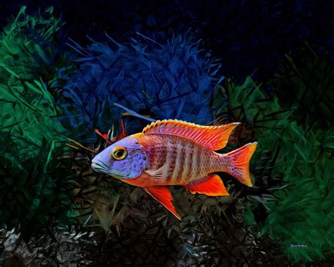African Peacock Cichlid 003 Digital Art By Scott Wallace Digital