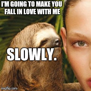 Whisper Sloth Meme Imgflip