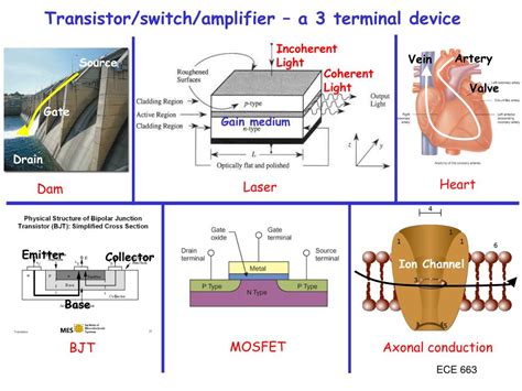 Transistor As An Amplifier Ppt At Teresa Jeffers Blog