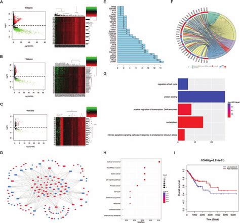 Bioinformatics Analysis Of Lncrna Mirna And Mrna With Cc The Volcano