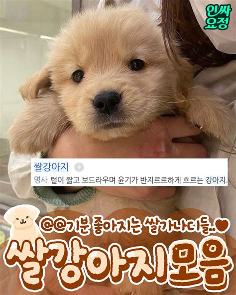 인싸요정🧚🏻 대부분 모르는 산리오 속 숨겨진 캐릭터💗 헬로키티 쿠로미 시나모롤 마이멜로디 말고도 대존귀 캐릭터들 짱