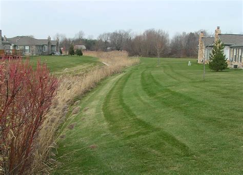 All Photos Trim Cut Landscaping