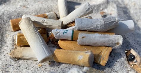Pinellas Commissioners Consider Beach Smoking Ban