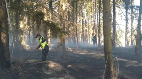 Combate Probosque Tres Incendios Forestales Activos En Edomex Posta